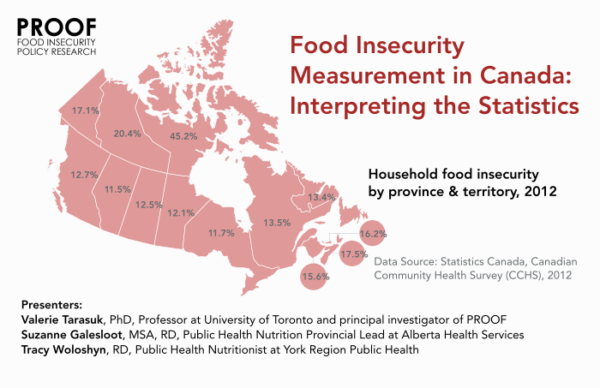 Food Insecurity Measurement in Canada: Interpreting the Statistics - PROOF